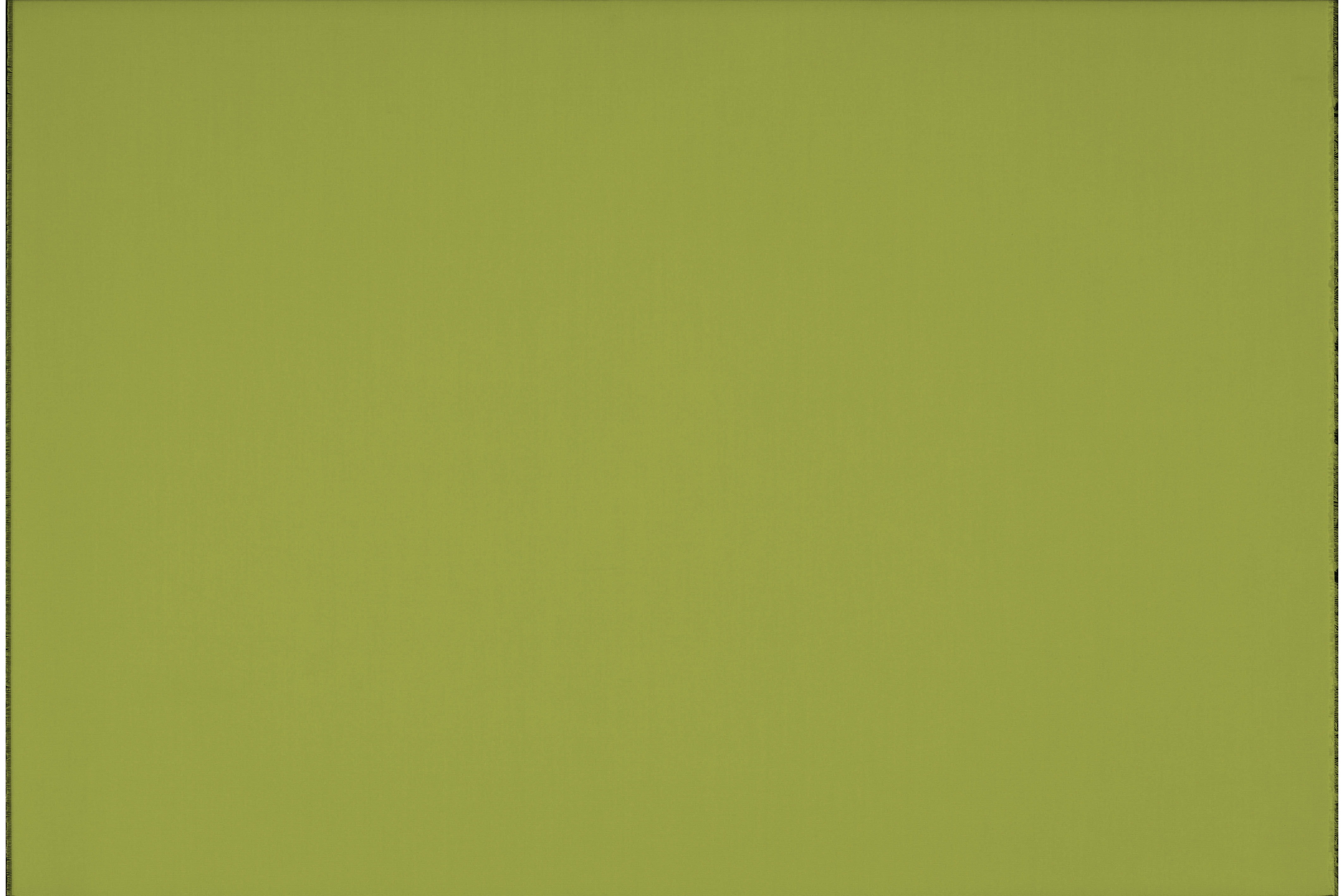 Sunbrella - SB SOLID vv vaaleanvihreä - Eurokangas